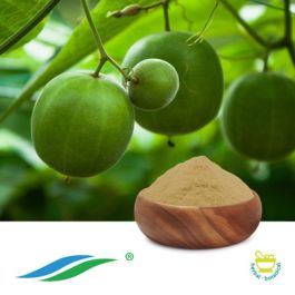 Purchase Bulk Monk Fruit Extract 25% Mogroside V | Ingredients Online