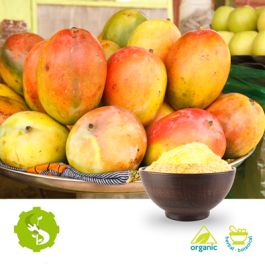 Bulk & Wholesale Organic Mango Powder | Ingredients Online