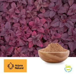 Purchase Bulk Oxystorm® (Amaranthus Extract) | Ingredients Online