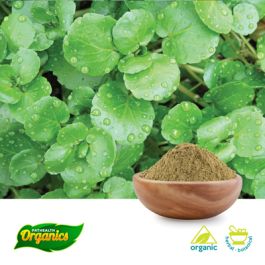 Bulk & Wholesale Watercress Herb Powder/Extract | Ingredients Online