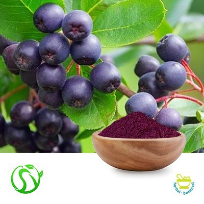 Bulk Acai Berry Fruit Powder Natural Flavor | Ingredients Online