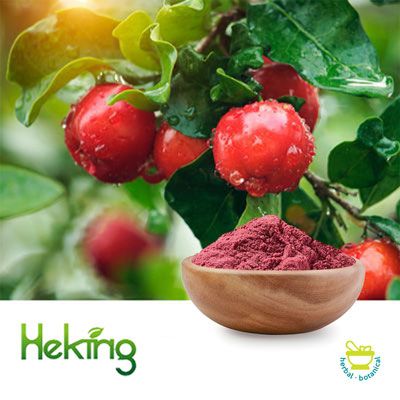 Buy Bulk Acerola Cherry Juice Powder | Ingredients Online