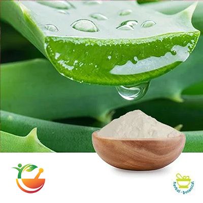 Buy Bulk Aloe Vera Extract 200X Powder | Ingredients Online
