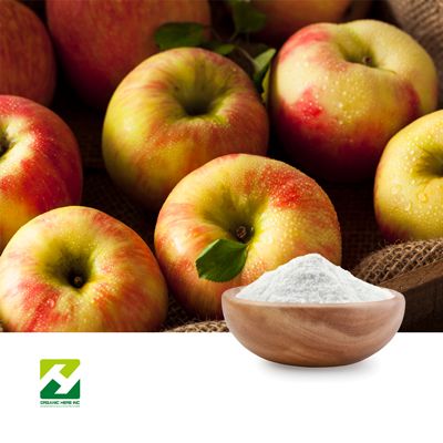 Bulk Apple Cider Vinegar Powder 10% | Ingredients Online