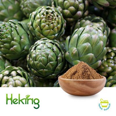 Bulk Artichoke Extr. 5% Cynarin 2.5% | Ingredients Online