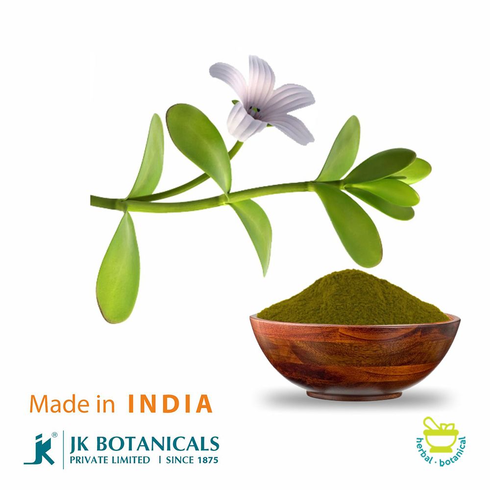 Bulk Bacopa Monnieri Extract 50% Bacosides | Ingredients Online