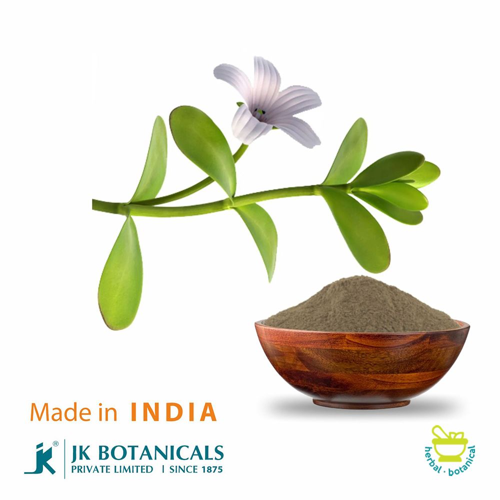 Bulk Bacopa Monnieri Powder Steam Treated | Ingredients Online