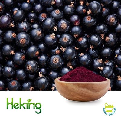 Buy Bulk Black Currant Juice Powder | Ingredients Online