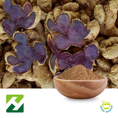 black ginger extract