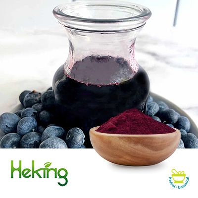 Bulk Blueberry Juice Powder | Heking | Ingreidnets Online