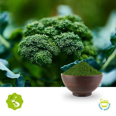 Buy Bulk Broccoli Powder | Ingredients Online