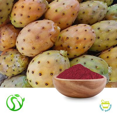 Buy Bulk Cactus Fruit Powder | Ingredients Online