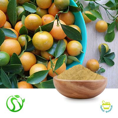 Buy Bulk Calamansi Flavor Powder | Ingredients Online