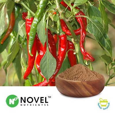 Bulk Capsicum Dry Extract 1.0% Total Capsaicinoids | Ingredients Online