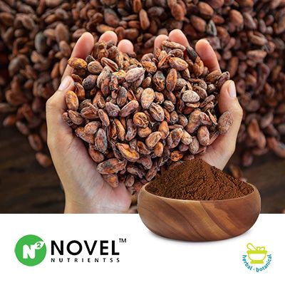 Bulk Cocoa Extract (Water Soluble) 10% Polyphenols | Ingredients Online
