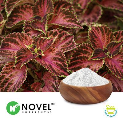 Bulk Coleus Forskohlii Extract 95% Forskolin | Ingredients Online