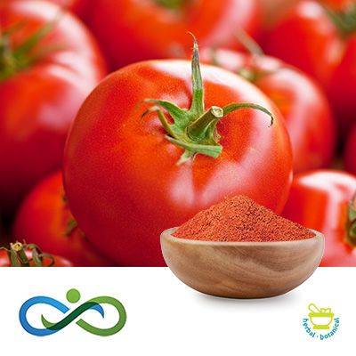 Buy Bulk Conventional AD Tomato Powder | Ingredients Online
