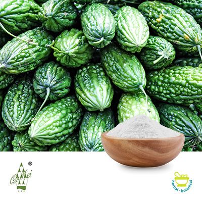 Bulk Conventional Bitter Melon Powder | Ingredients Online