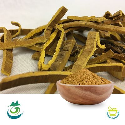Bulk Cortex Phellodendri Extract 10:1 powder | Ingredients Online