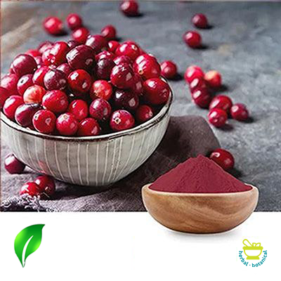 Buy Bulk Cranberry Extract 25% PACs UV | Ingredients Online