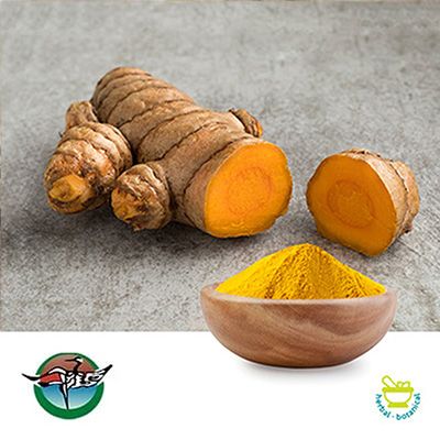 Bulk Turmeric Extract Curcuminoids 20% Powder | Ingredients Online