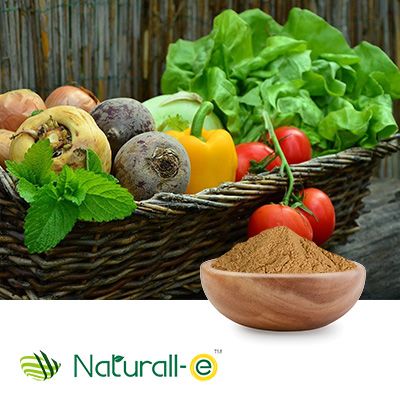 Bulk D-Alpha Tocopheryl Acetate 500IU Powder Silica (SF-A500P ...