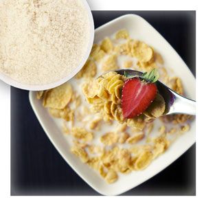 Buy Bulk Ferrous Lactate Powder | Ingredients Online