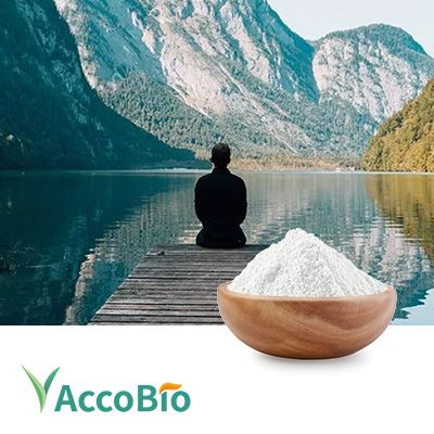 Bulk Gamma Amino Butyric Acid (GABA) | Ingredients Online