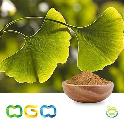 Bulk Ginkgo Biloba Powder | Herb Green | Ingredients Online