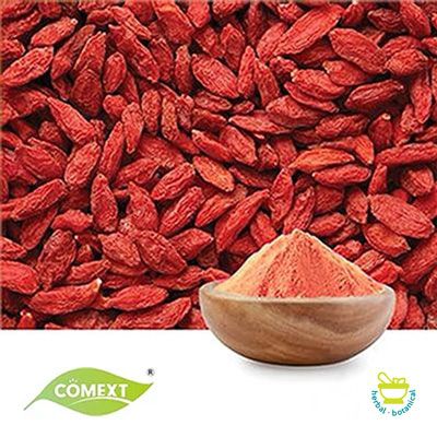 Bulk Goji Berry Powder | Comext | Ingredients Online