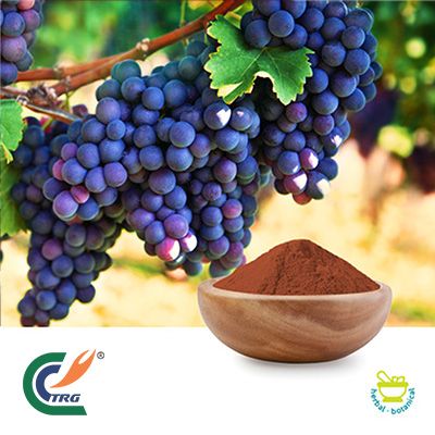 Bulk Grape Seed Extract 95% PC(UV) 85% OPC(HPLC) | Ingredients Online