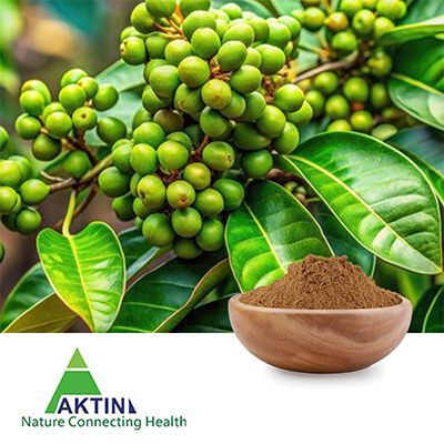 Bulk Griffonia Simplifolica Seed Extr. | Ingredients Online