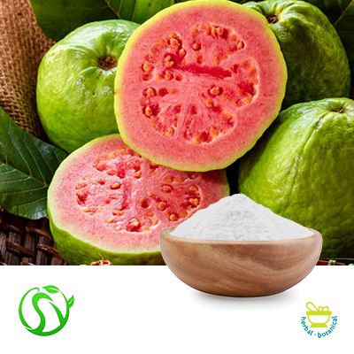 Buy Bulk Guava Flavor Powder | Ingredients Online