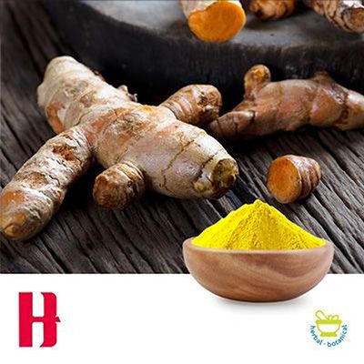 Bulk High Bioavailability Turmeric Extract 10% Curcuminoids ...