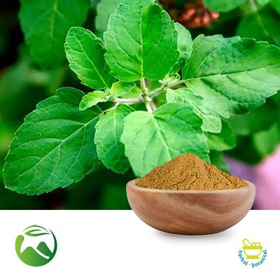 Bullk Holy Basil Powder | Xi'an Herbs | Ingredients Online