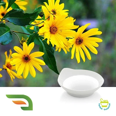 Buy Bulk Inulin Syrup | Ingredients Online