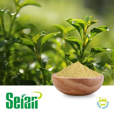 Buy Bulk Instant Green Tea Powder | Ingredients Online