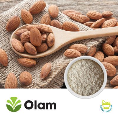 Bulk Blanched Defatted Almond Protein Powder | Ingredients Online