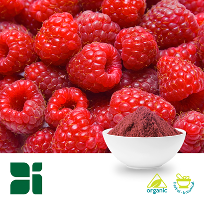Bulk Organic Red Raspberry Seed Powder | Ingredients Online