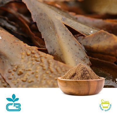 Bulk Brown Seaweed Powder Extract Fucoxanthin 10% UV | Ingredients Online