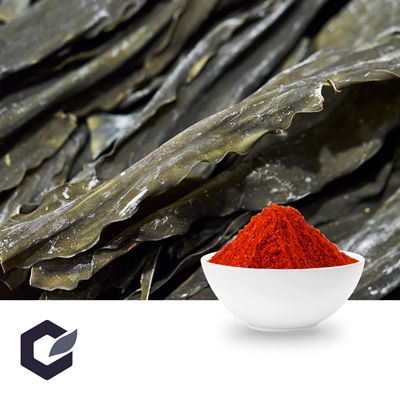 Buy Bulk Fucoxanthin Powder 1% | Ingredients Online