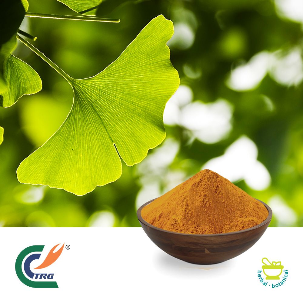 Bulk Ginkgo Biloba Extract 24/6% Ginkgolic Acid | Ingredients Online