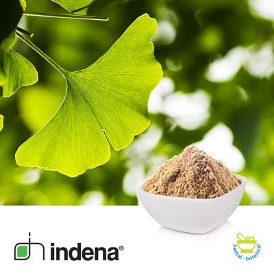Bulk Ginkgoselect® (Ginkgo Biloba Dry Extract) | Ingredients Online
