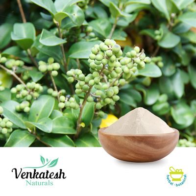 Bulk Guggul Extract 2.5% Guggulsterone HPLC | Ingredients Online