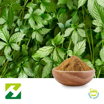 Bulk Jiaogulan Extract 15% Gypenosides | Ingredients Online