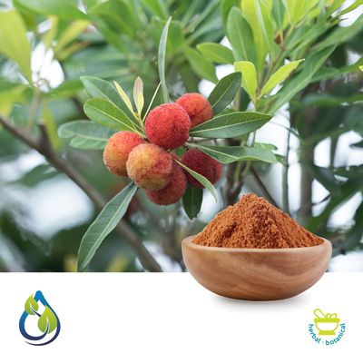 Bulk Bayberry Bark Powder (Myrica Esculenta Powder) | Ingredients Online