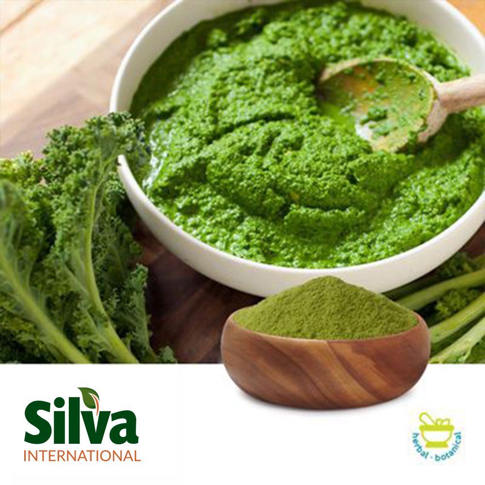 Buy Bulk Kale Powder | Ingredients Online