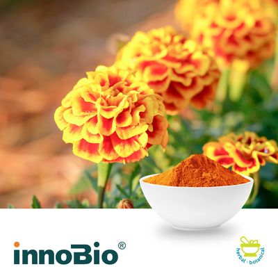 Buy Bulk Lutein 5% CWS Powder | Ingredients Online