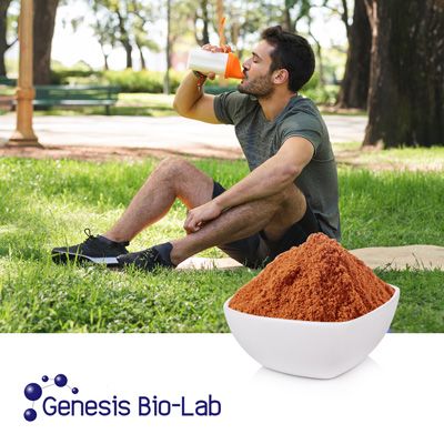 Bulk New Zealand Bovine Heart Powder | Ingredients Online