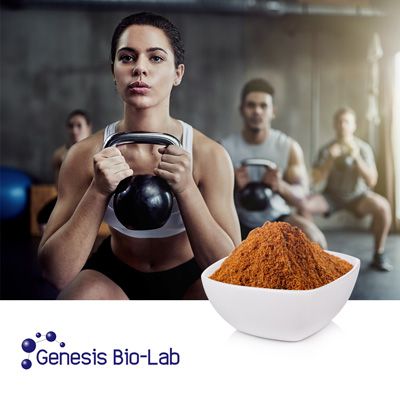 Bulk New Zealand Bovine Kidney Powder | Ingredients Online